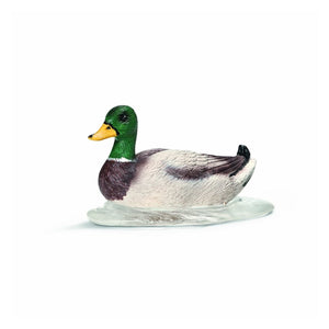 Schleich 13727 Drake, swimming